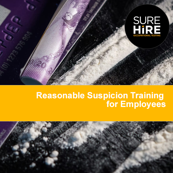 Home | iNTELLECT Learning Management System | by SureHire